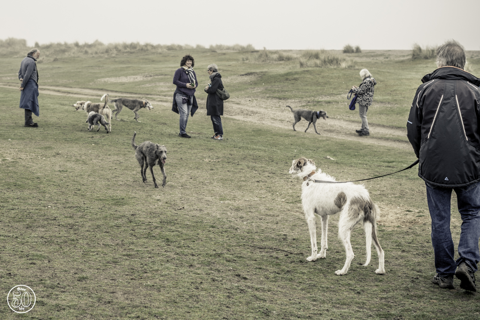 Lurcher Walk - three50six
