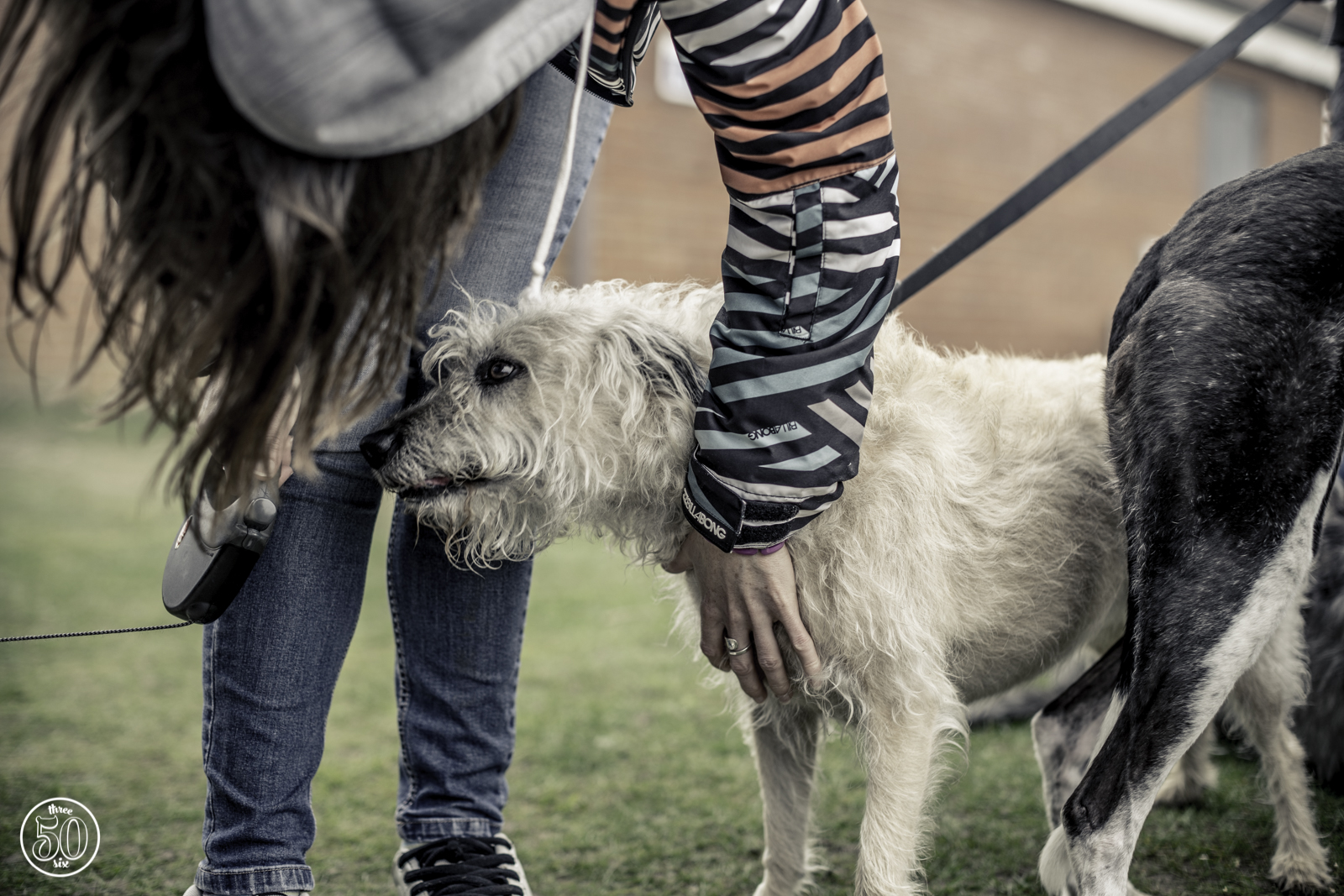Lurcher Walk - three50six